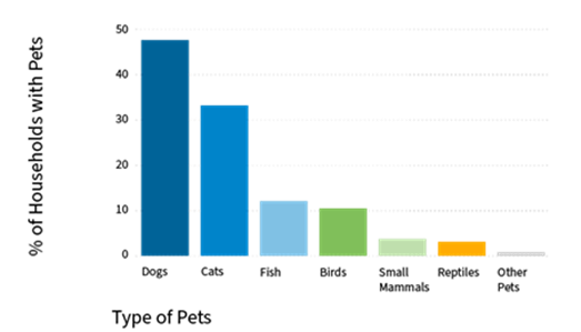 Celebrating the Lovable Pets in Our Lives On Love Your Pet Day